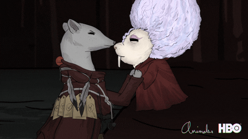 Slap Fight Animals Season 3 GIF | GIFDB.com