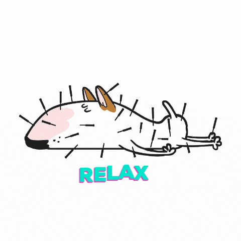 Sleeping Dog Relax Jimmy The Bull GIF | GIFDB.com