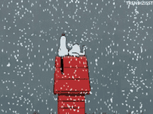 Snow Falling In Snoopy GIF | GIFDB.com