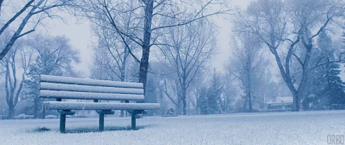 Snowing On Bench GIF | GIFDB.com