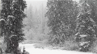 Snowing Tremendously At Park GIF | GIFDB.com