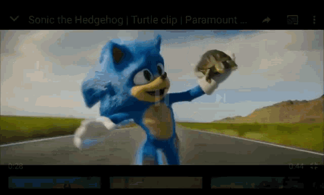 Sonic Turtle Thrown Away GIF | GIFDB.com