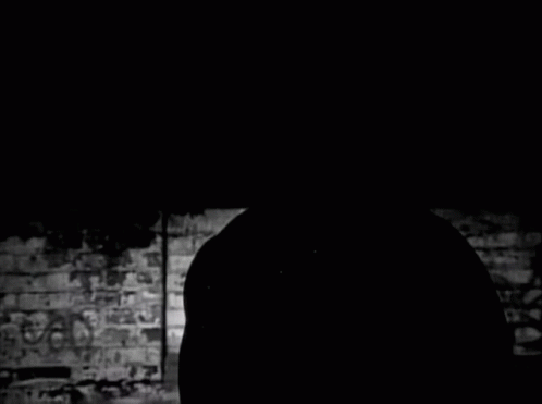 Stone Cold Steve Austin 498 X 371 Gif GIF | GIFDB.com