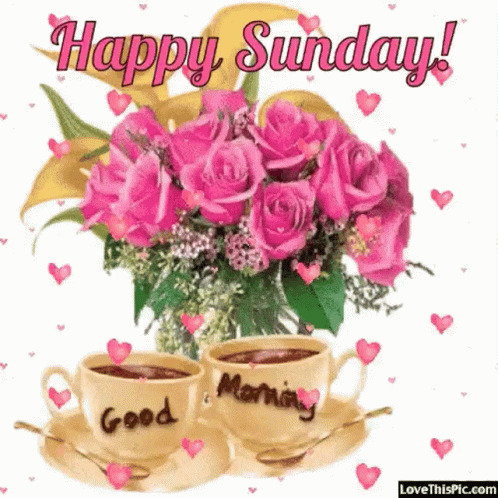 Sunday Blessings Happy Day Good Morning Pink Roses GIF | GIFDB.com