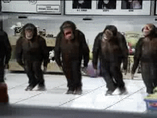 Tap Dancing Monkey Speed GIF | GIFDB.com