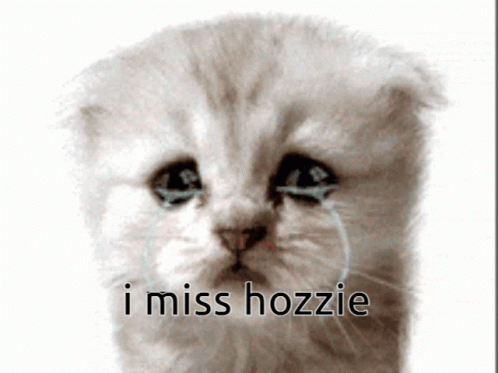 Tearful Sad Cat Crying Missing Hozzie GIF | GIFDB.com