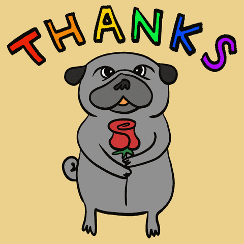 Thanks Pug Holding Flower GIF | GIFDB.com