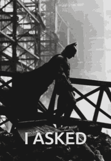 The Batman Standing I Asked Meme GIF | GIFDB.com