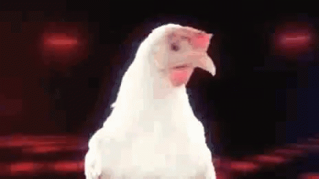Viral Chicken Dance At Disco Meme GIF | GIFDB.com
