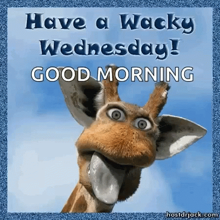 Wacky Giraffe Face Funny Good Morning GIF | GIFDB.com