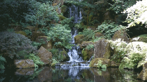 Waterfall Beautiful Landscape Magical View GIF | GIFDB.com