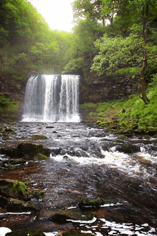 Waterfall Stream Fresh Forest Nature GIF | GIFDB.com