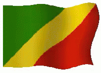 Waving Pixel Flag Republic Of Congo GIF | GIFDB.com