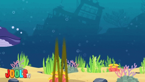 Whale Abc Jools Tv GIF | GIFDB.com