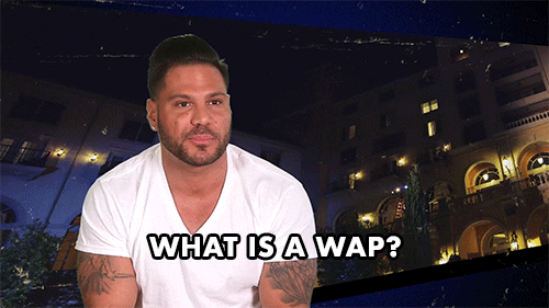 What Is Wap Jersey Shore GIF | GIFDB.com