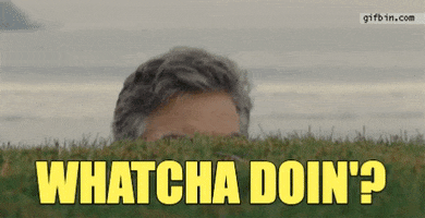 Whatcha Doin Man Behind Bush GIF | GIFDB.com