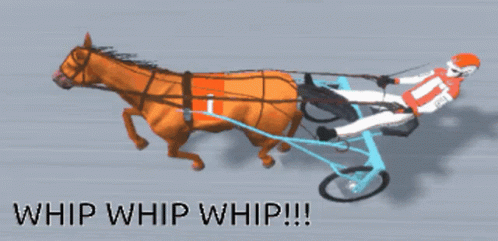 Whip Animated Horse Driving Race Track GIF | GIFDB.com