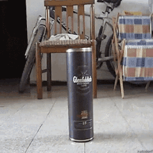 White Ferret Popping Surprise GIF | GIFDB.com