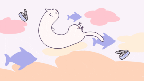 White Kawaii Cat Floating GIF | GIFDB.com