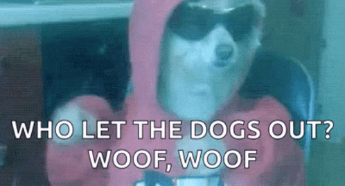 Who Let The Dogs Out Woof Woof Cool Party Dog GIF | GIFDB.com