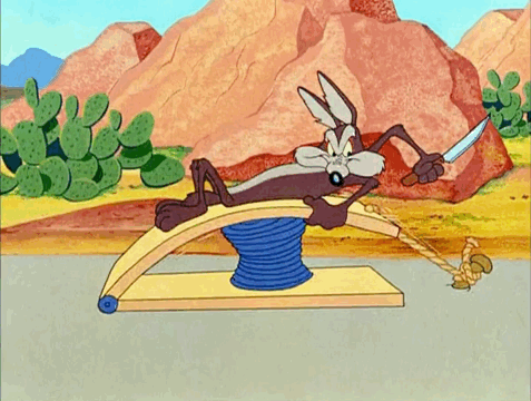 Wile E Coyote Road Runner Spring Fail GIF | GIFDB.com