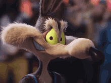 Wile E Coyote Sneaky Evil Wink GIF | GIFDB.com