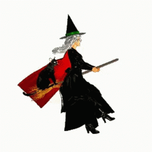 Witch Flying Cat Animation GIF | GIFDB.com