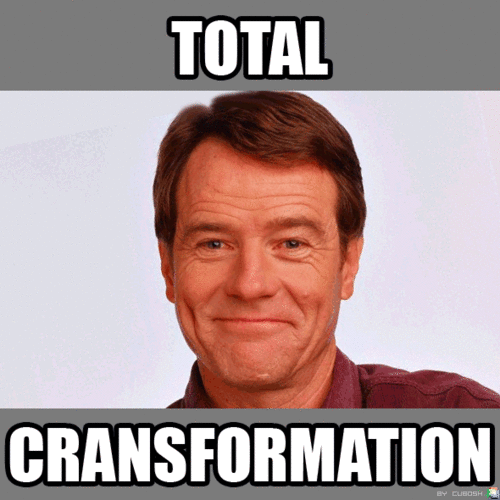 Witty Caption Meme Bryan Cranston