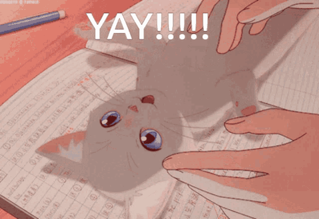 Yay Kissing Happy Cute Cat Anime Meme GIF | GIFDB.com