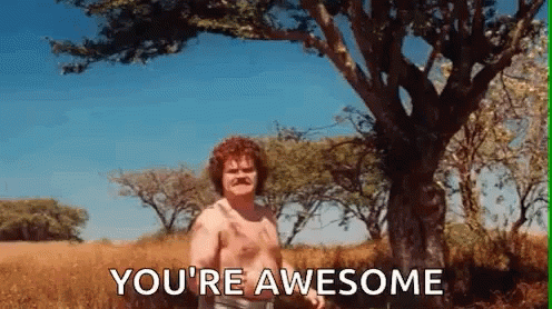 Youre Awesome Nacho Libre