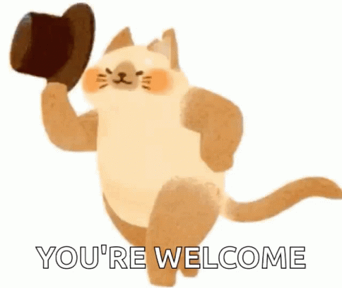 You're Welcome Gratitude Cat GIF | GIFDB.com
