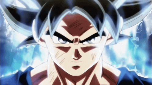 Goku Ultra Instinct Gif File 1145kb GIF | GIFDB.com
