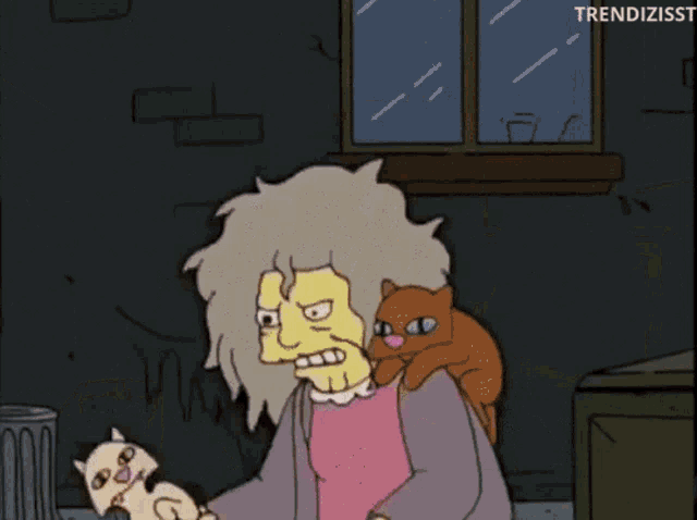 Angry Cat Lady Gif GIF | GIFDB.com