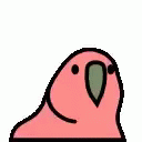 Animated Parrot Party Dance