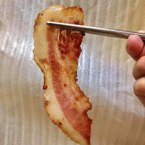 Bacon 498 X 498