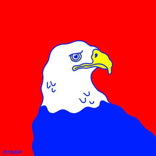 Bald Eagle Snoozing