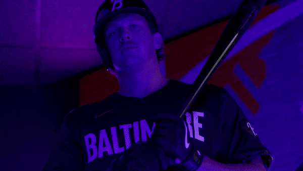 Baltimore Orioles Team Introduction