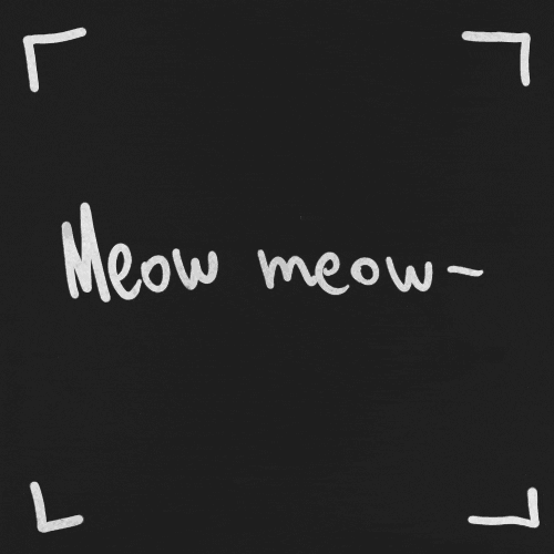Cat Breakdancing Meow Meow