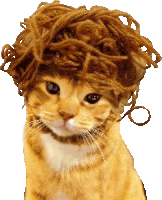 Silly Cat Eating Chips Sticker GIF | GIFDB.com