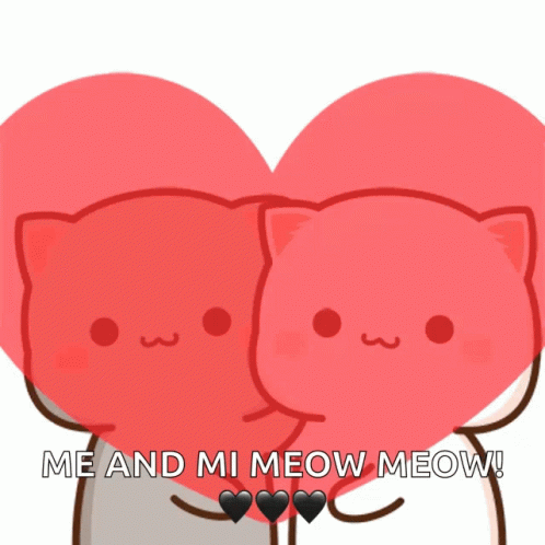 Cat Lover Me And Meow Meow
