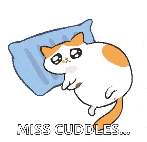 Crying Cat S