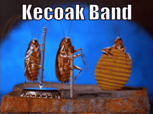 Roach Dancing Cockroach