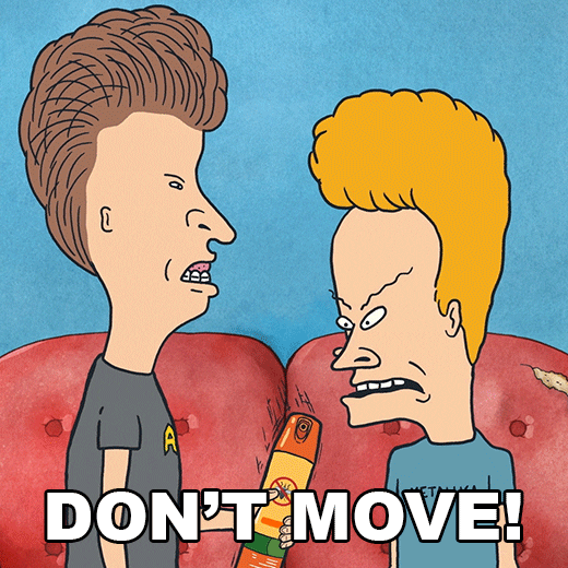 Dont Move Beavis And Butt Head
