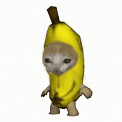 Banana Cat Meme GIFs GIFDB Banana Cat Meme GIFs GIFDB