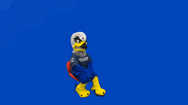 Hawk Mascot Head Out