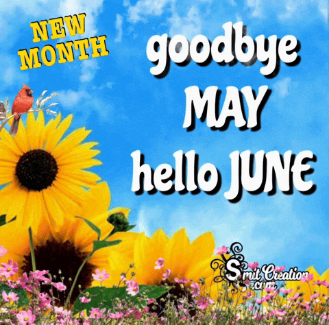 Hello June Welcome June Gif GIF | GIFDB.com
