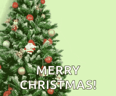 Merry Christmas Merrychristmas Gif GIF | GIFDB.com