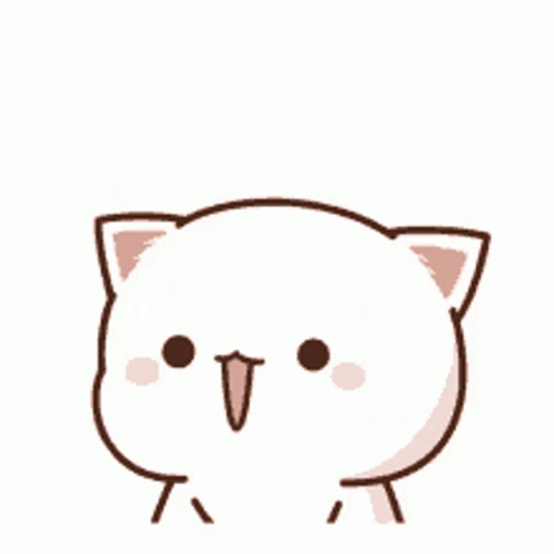 Mochi Cat S