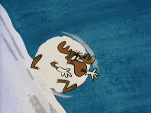 Moose Rolling And Forming A Snowball