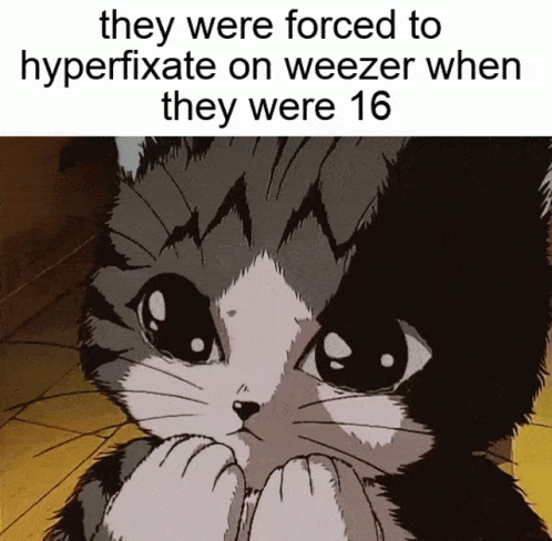 Crying Cat S